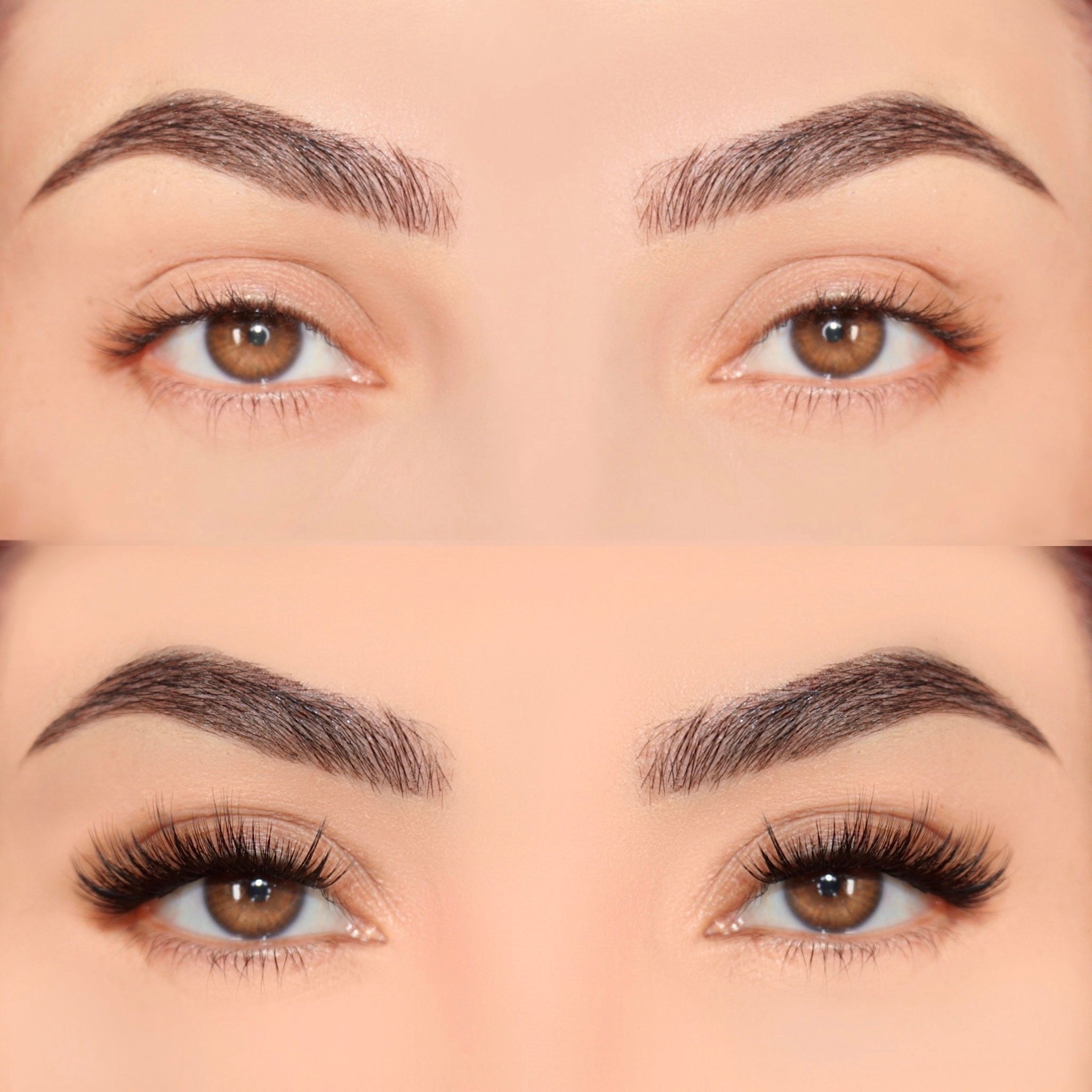 Wispy set – Eyeshine Cosmetics